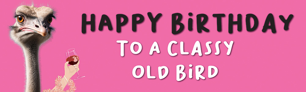 Happy Birthday Funny Banner - Classy Old Bird - Pink | Cool Hippo